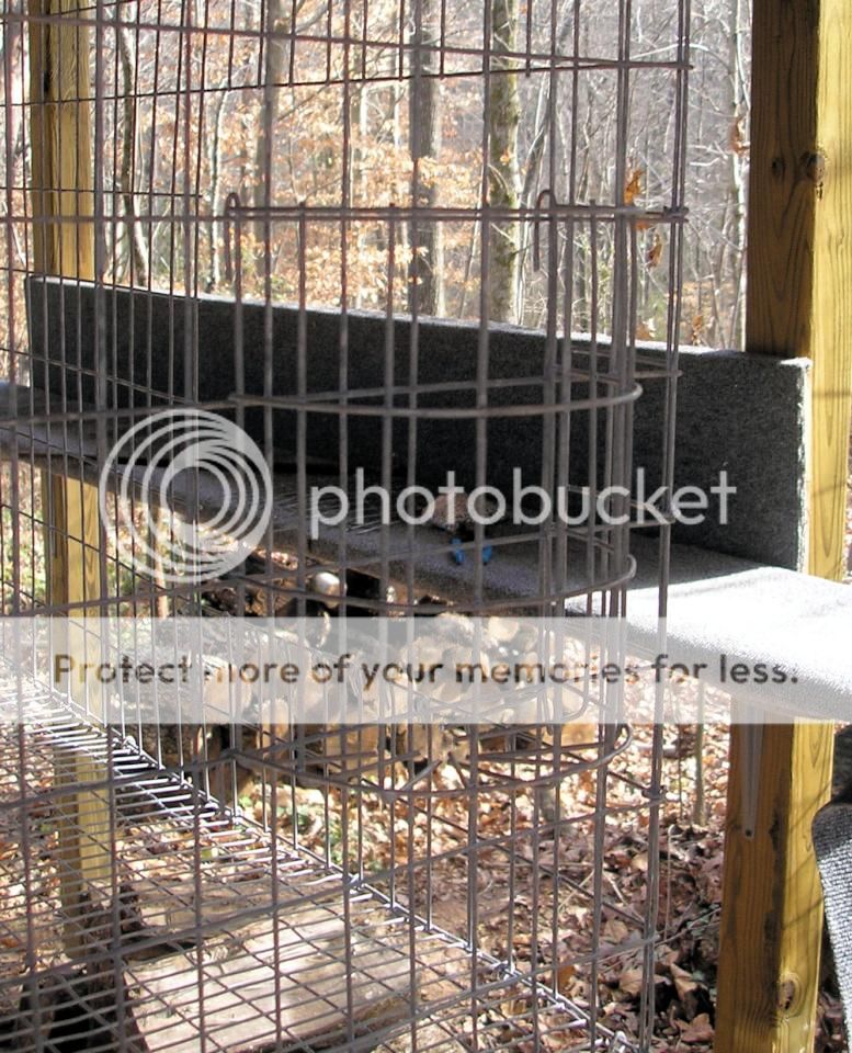 Hay rack from scrap cage wire tutorial | Rabbit Talk - Meat Rabbit ...