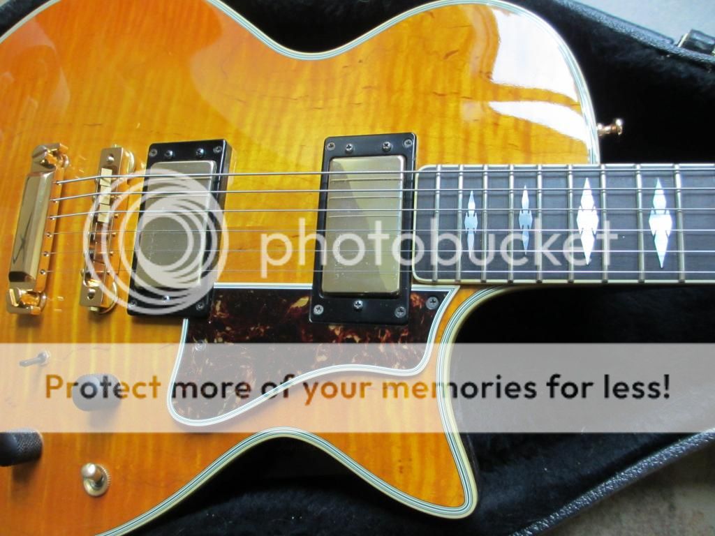 NGD! Guild Nightbird | The Canadian Guitar Forum