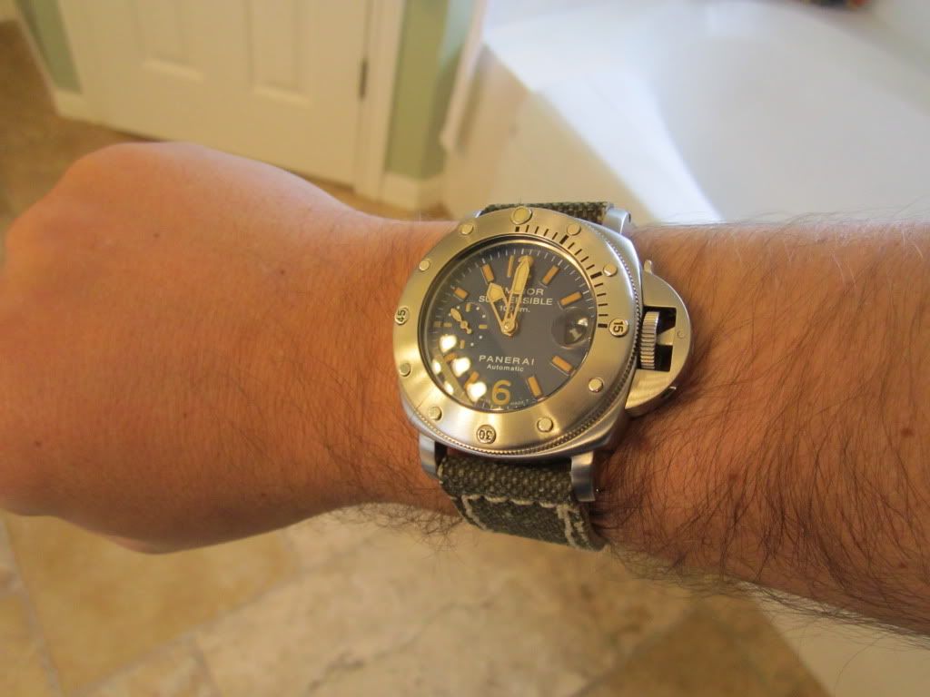 PAM 87 on Micah French Canvas and Pics with PAM 24 - The Dive Watch ...