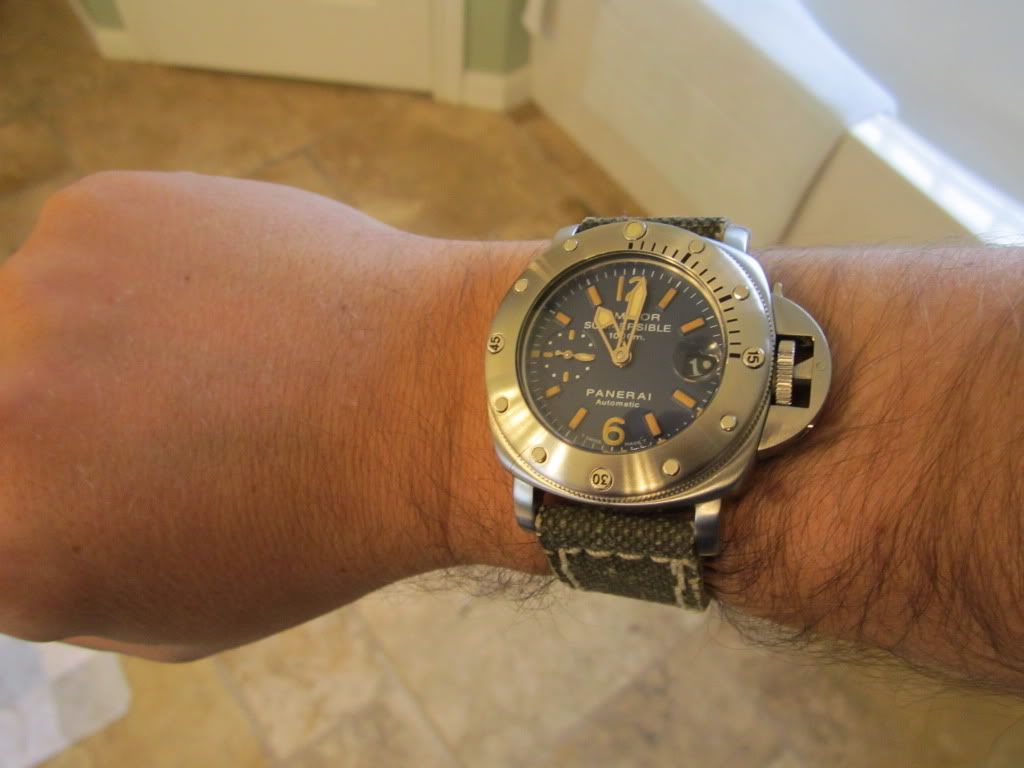 PAM 87 on Micah French Canvas and Pics with PAM 24 - The Dive Watch ...