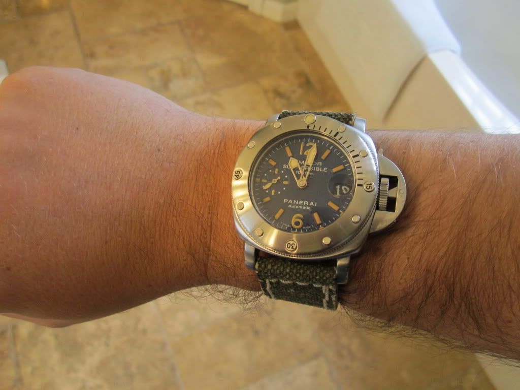 PAM 87 on Micah French Canvas and Pics with PAM 24 - The Dive Watch ...